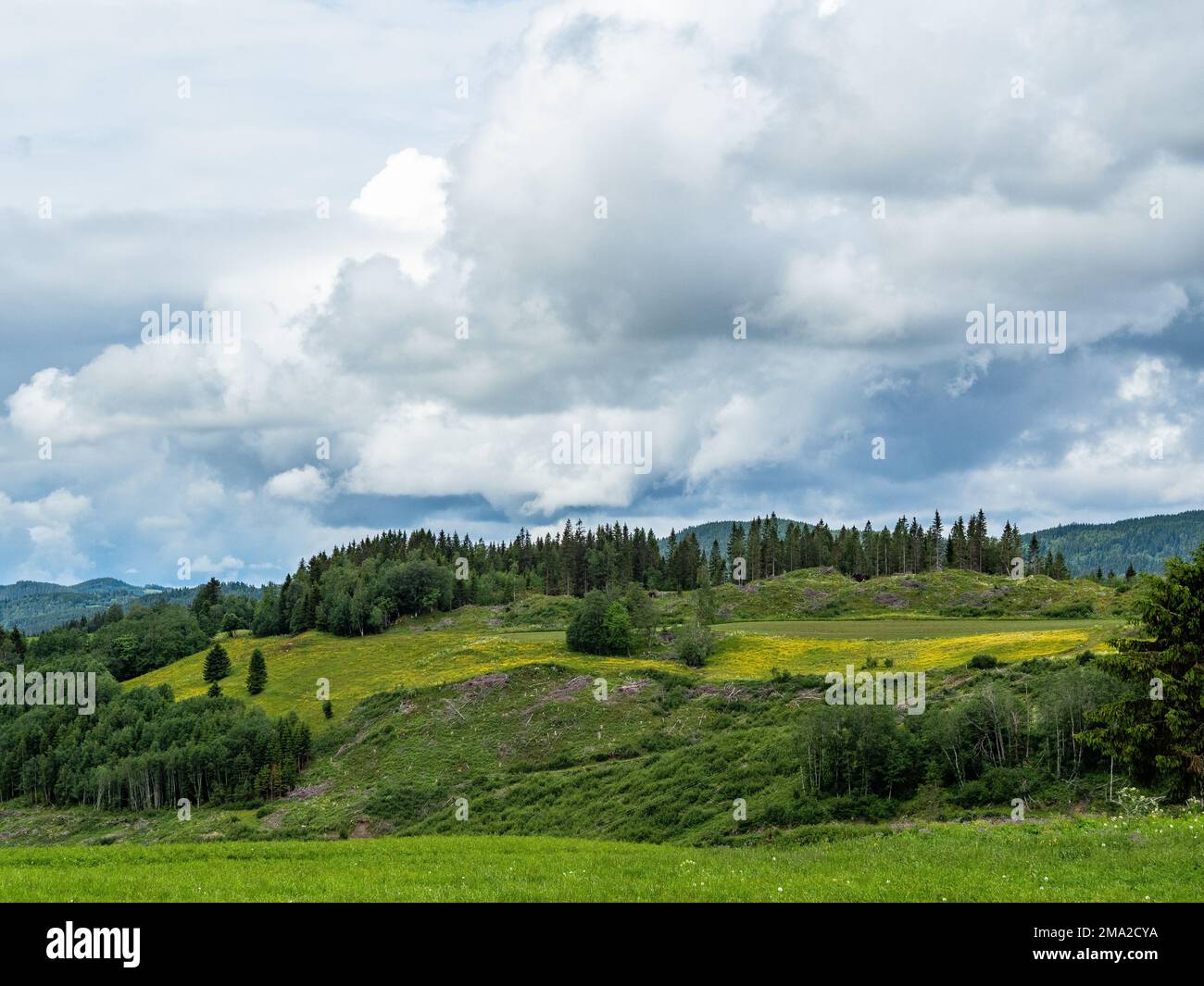 A view of a Nordic landscape on a cloudy day. Nordic countries all ...