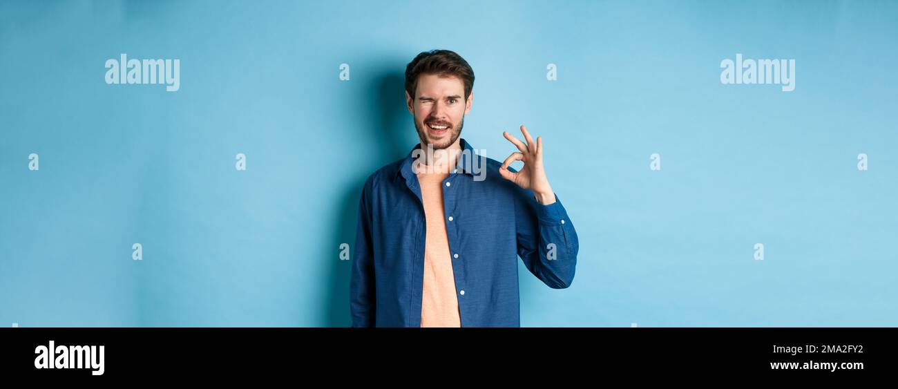 Positive smiling guy winking and showing okay sign, praising good work ...