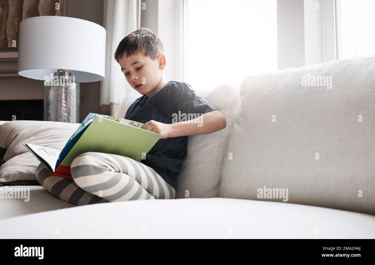 Child, boy or reading book for education, learning and relax studying ...