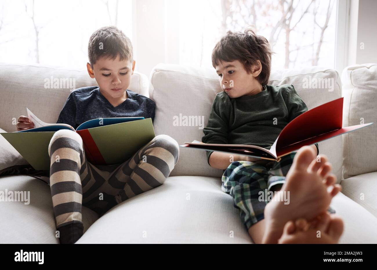 Children, boys and reading books for education, learning or relax ...