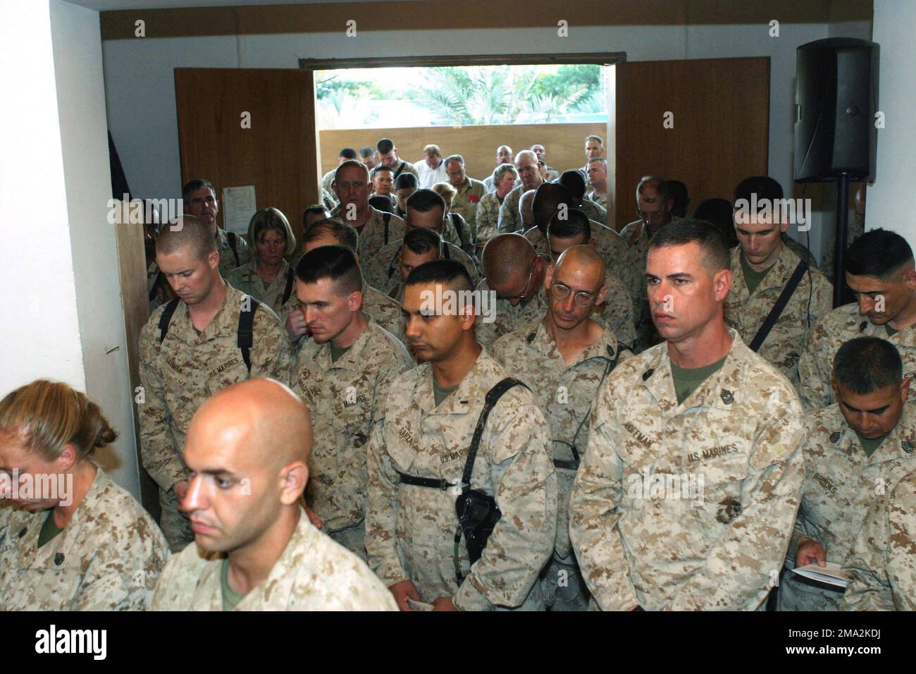 Fob blue diamond hi-res stock photography and images - Alamy