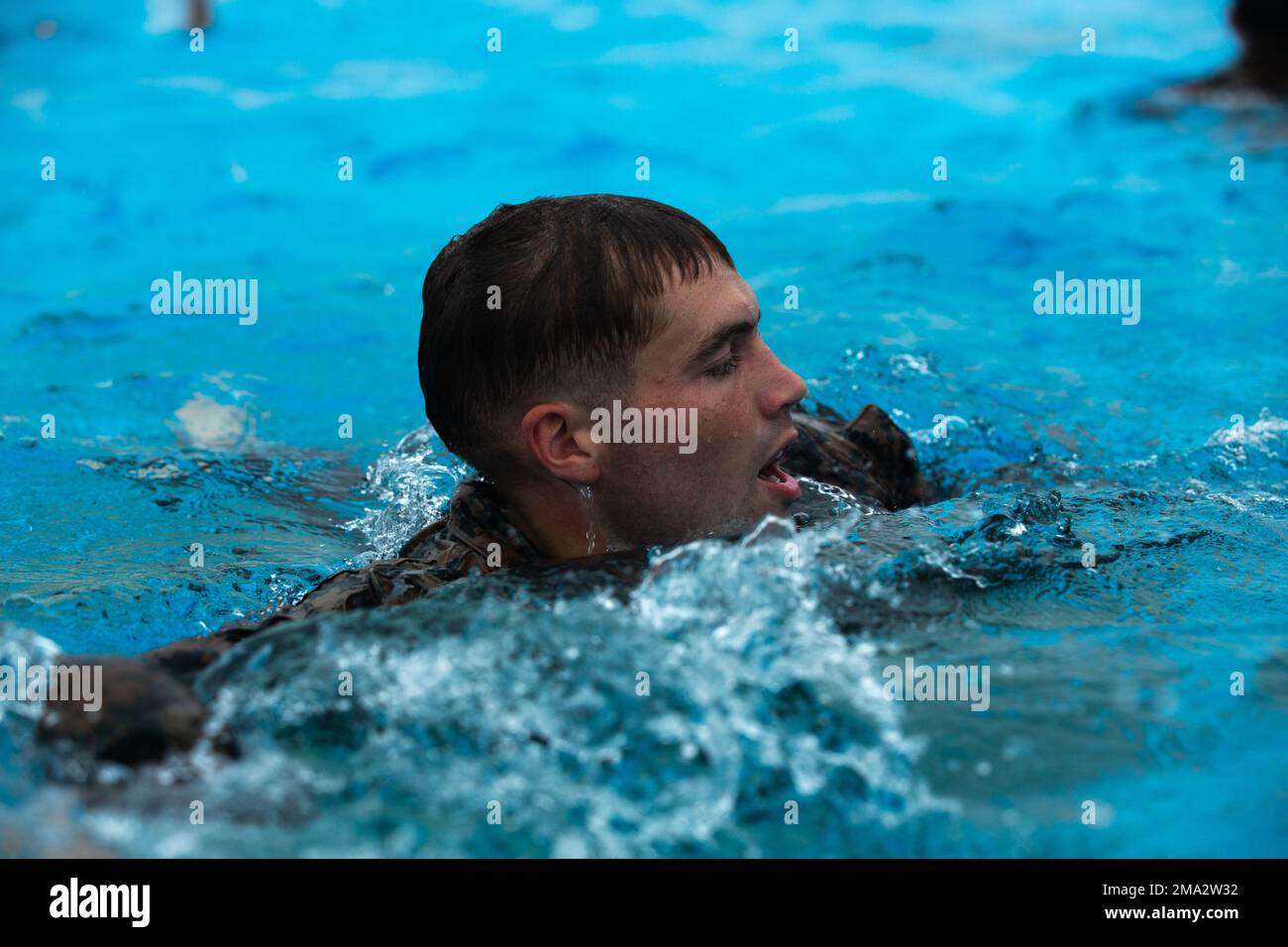 100 meter swim hi-res stock photography and images - Alamy