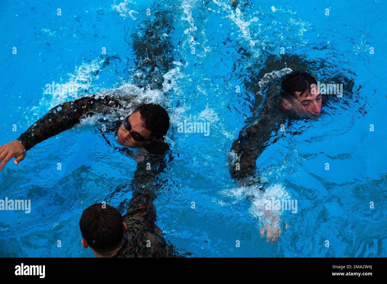 100 meter swim hi-res stock photography and images - Alamy