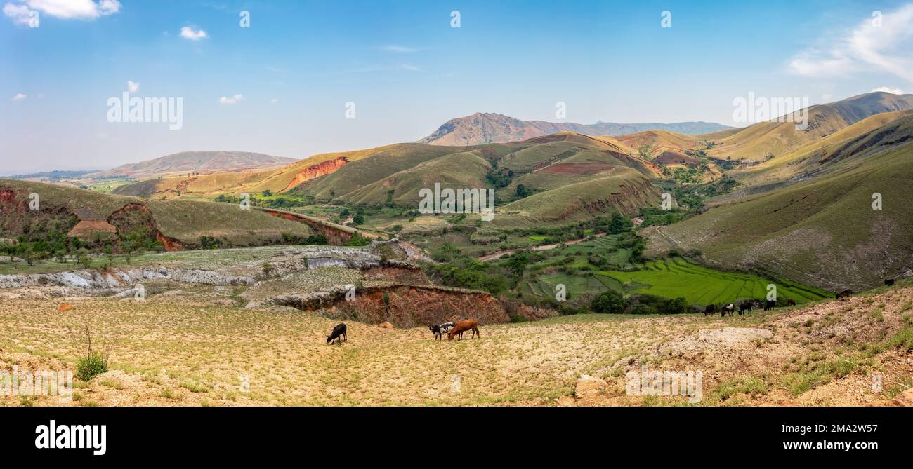 Devastated central Madagascar landscape, Mandoto, Vakinankaratra ...