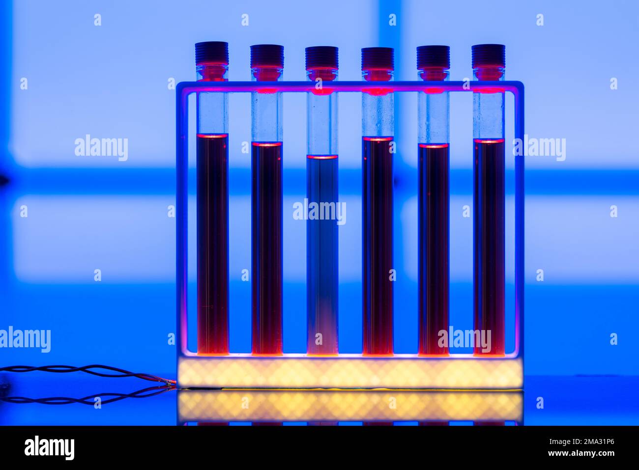 samples of radioactive liquid in test tubes in a nuclear physics ...