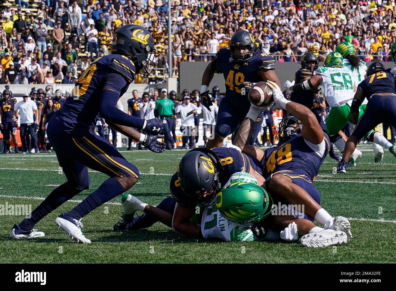 California linebacker Orin Patu (48) intercepts a pass against Oregon ...