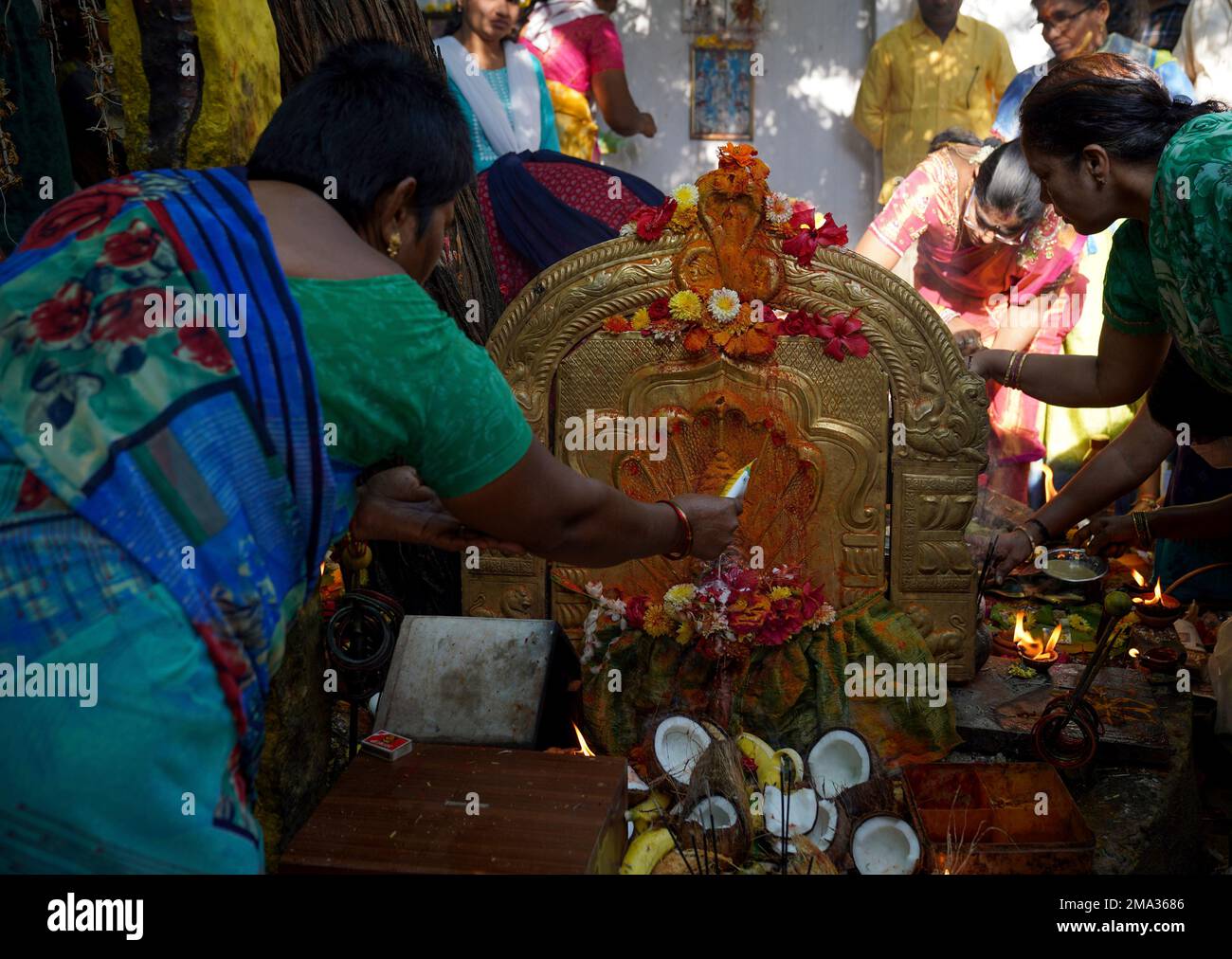 Hindu devotees offer prayers at a temple during Nag Chavithi in ...