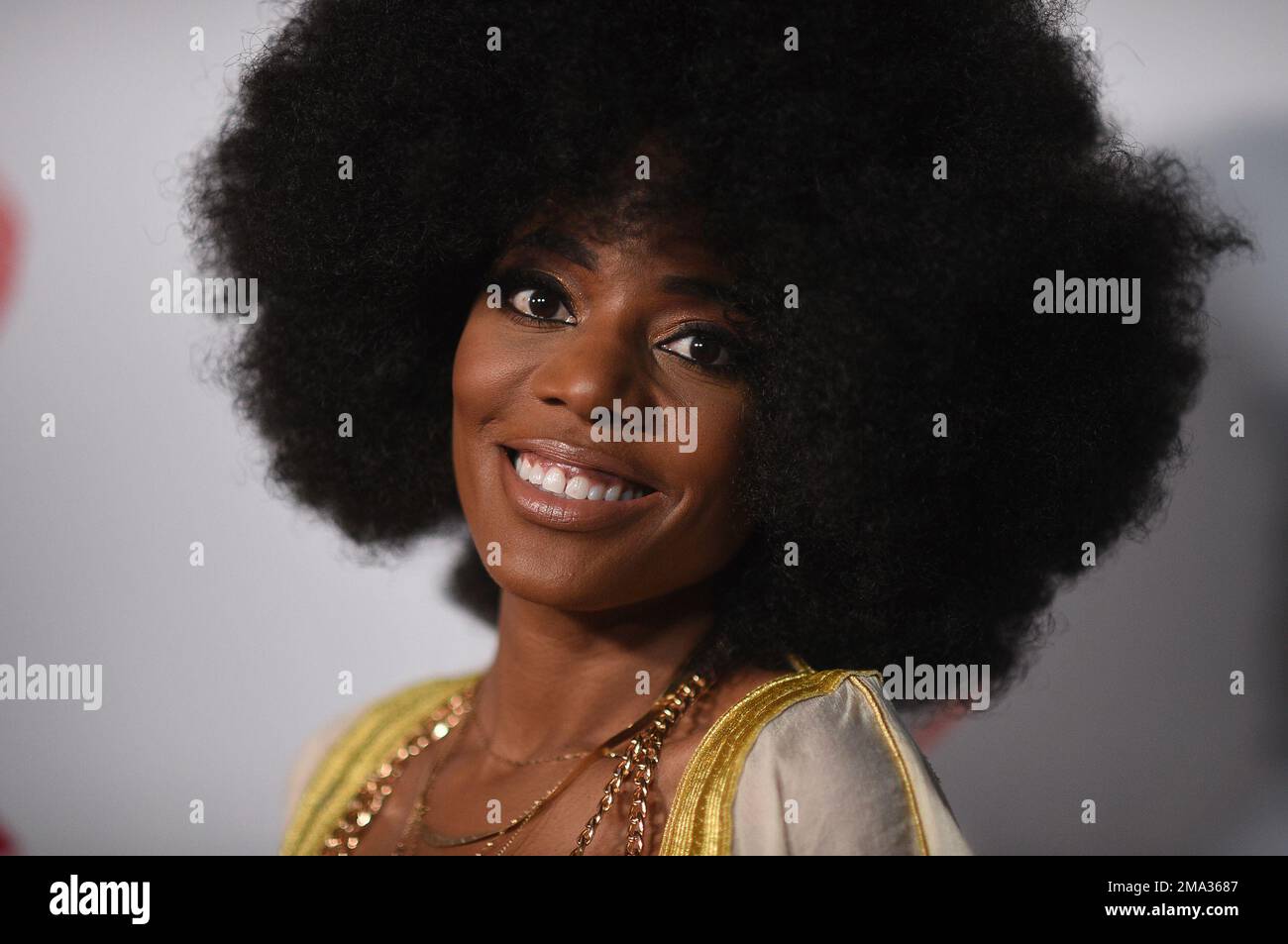 Yolanda Ezell attends the "Thriller Night" costume for a cause party on ...