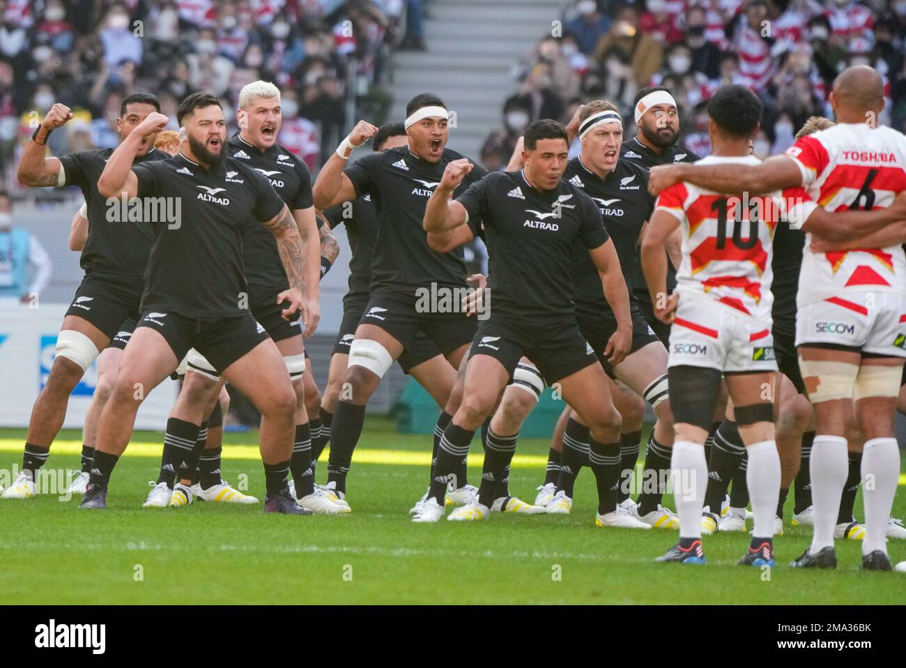 New Zealand perform a haka ahead of the rugby international between the ...