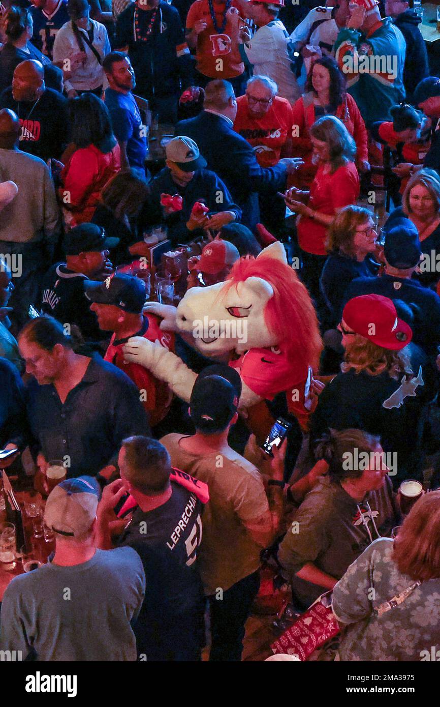 Denver Broncos' mascot Miles poses for a photo with a fan during an ...