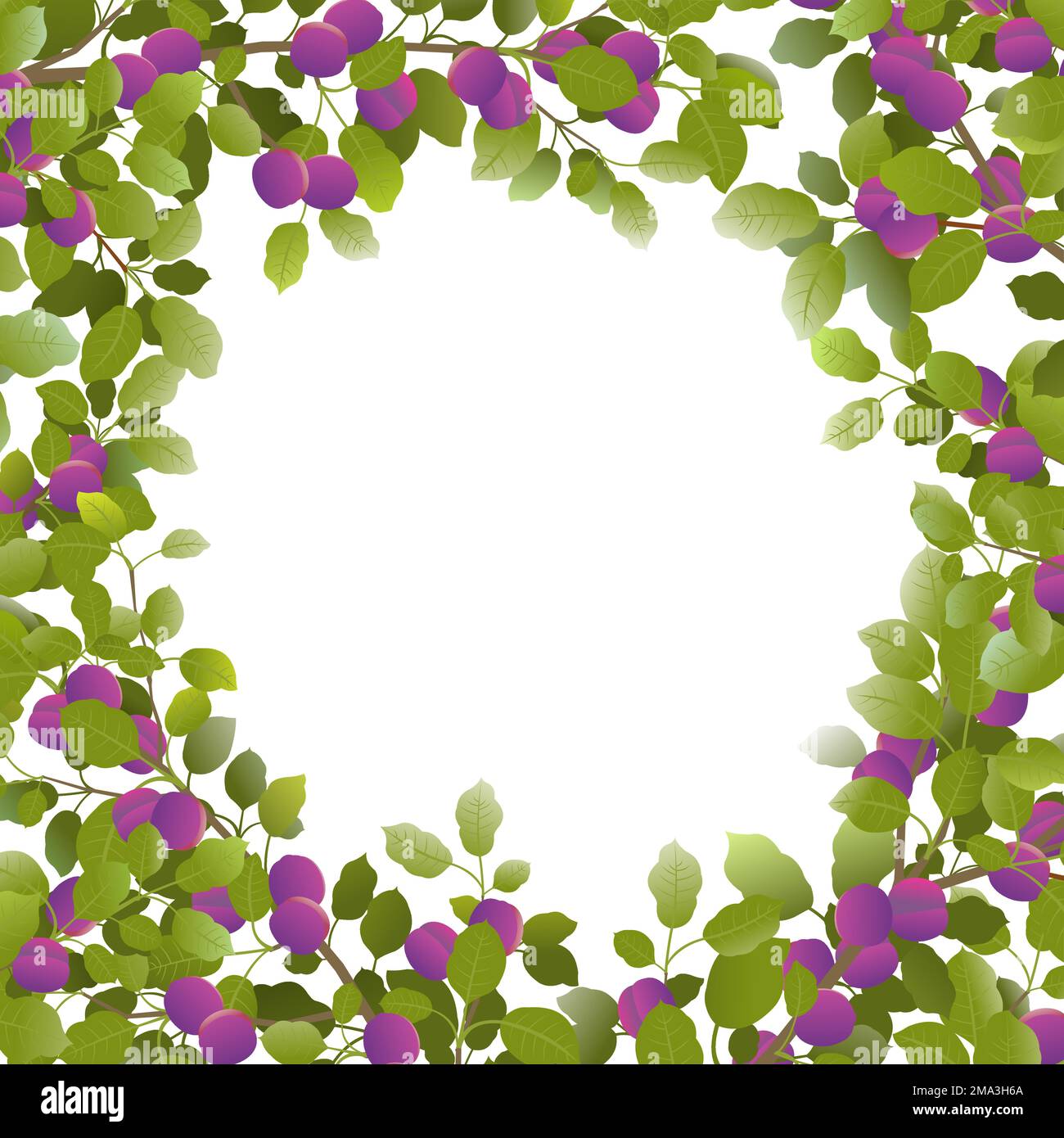 Branch japanese cherry in Stock Vector Images - Alamy