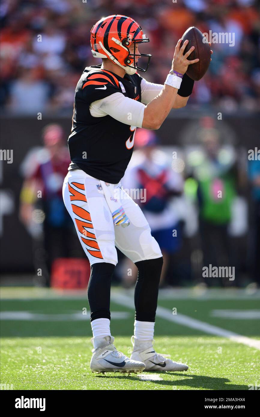 Cincinnati Bengals quarterback Joe Burrow (9) drops back to pass during ...