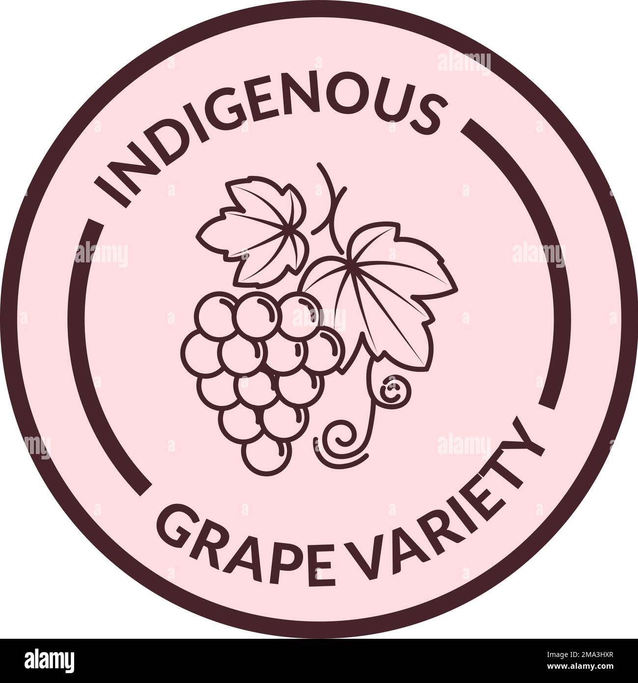 Indigenous grape variety, label for product vector Stock Vector Image ...