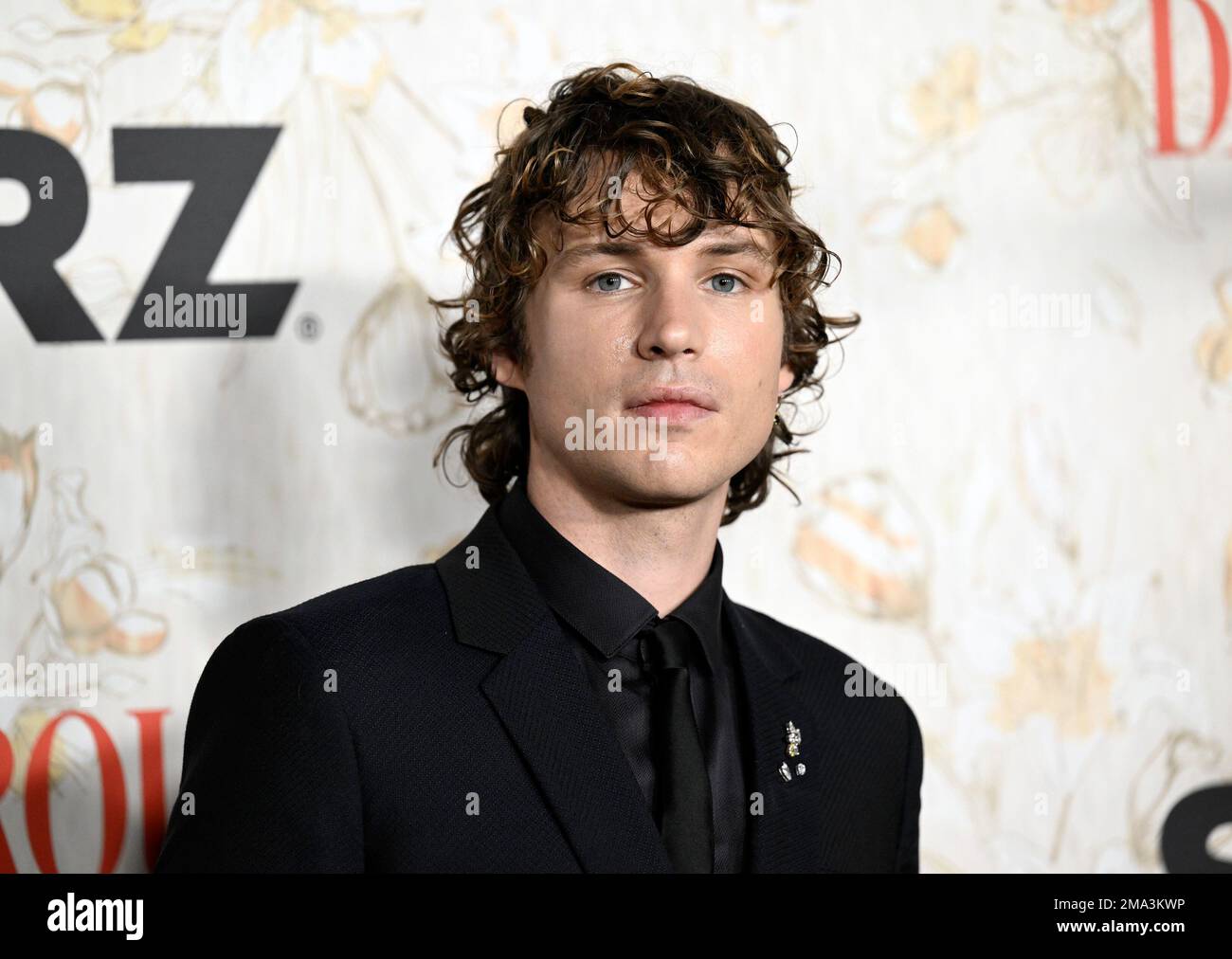 Nicholas Denton attends the Starz television series premiere for ...