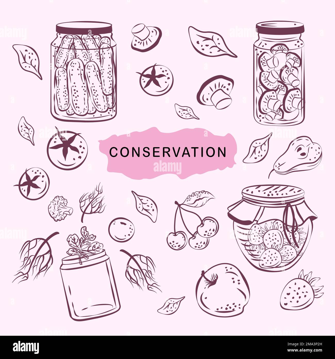 canning vegetables and fruits hand drawn illustration vector Stock ...
