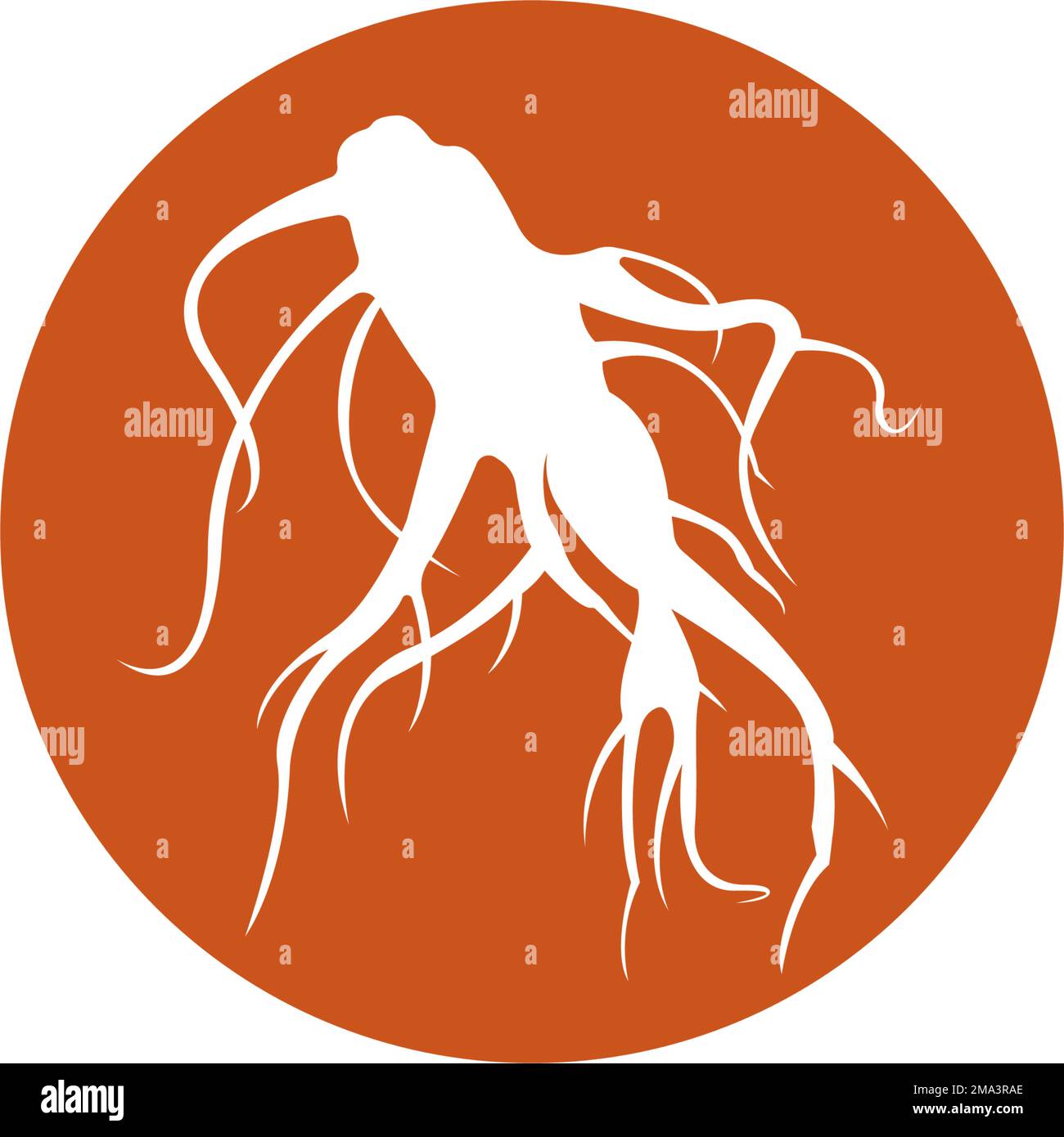 Ginseng icon vector illustration design template Stock Vector Image ...