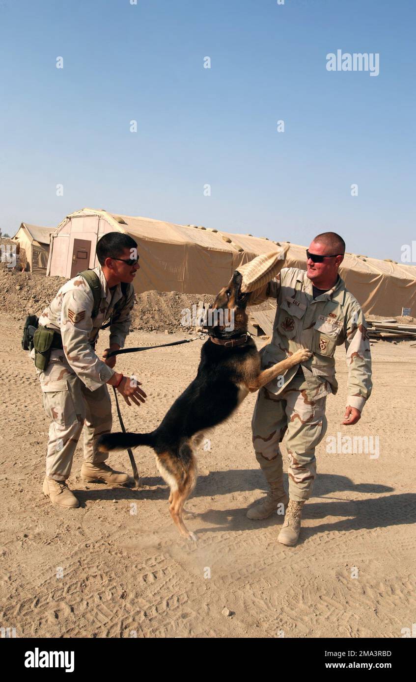 031015-F-2185G-015. Subject Operation/Series: IRAQI FREEDOM Base ...