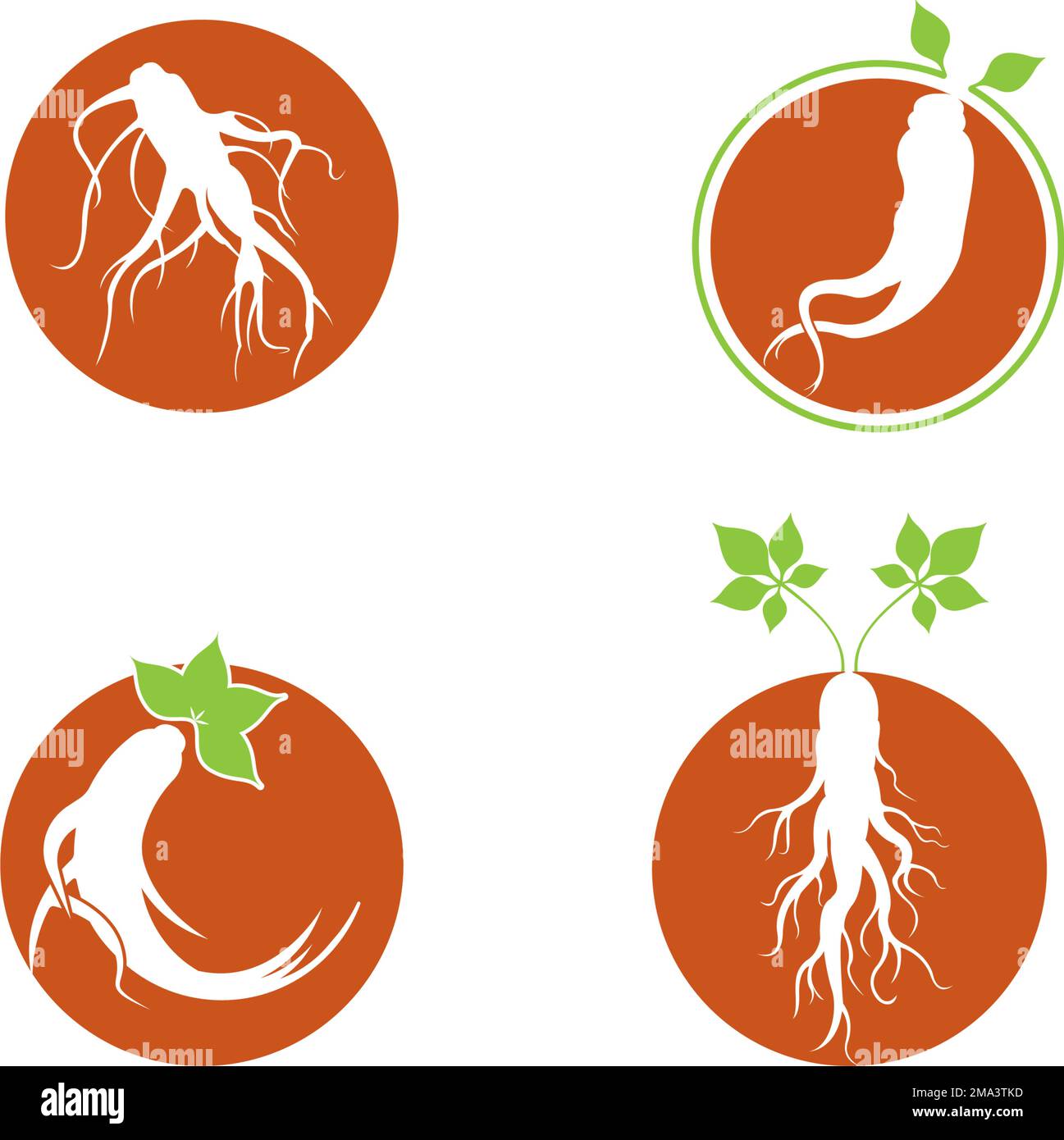 Ginseng icon vector illustration design template Stock Vector Image ...