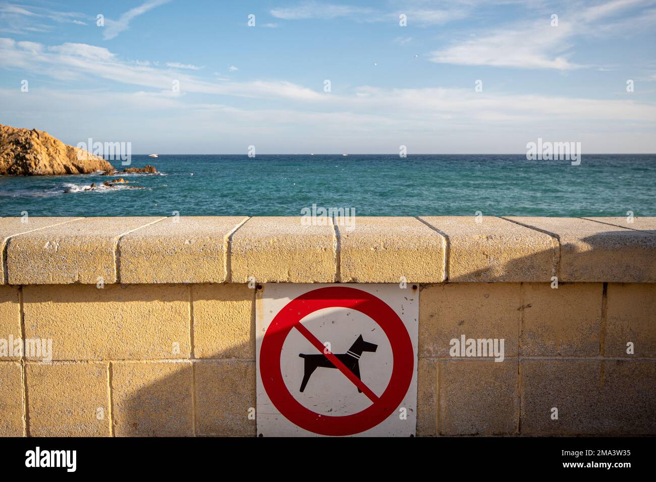 Red sign of forbidden dogs placed on the wall of the promenade before ...