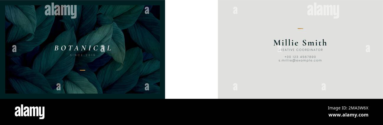 Leafy name card design template vector Stock Vector Image & Art - Alamy