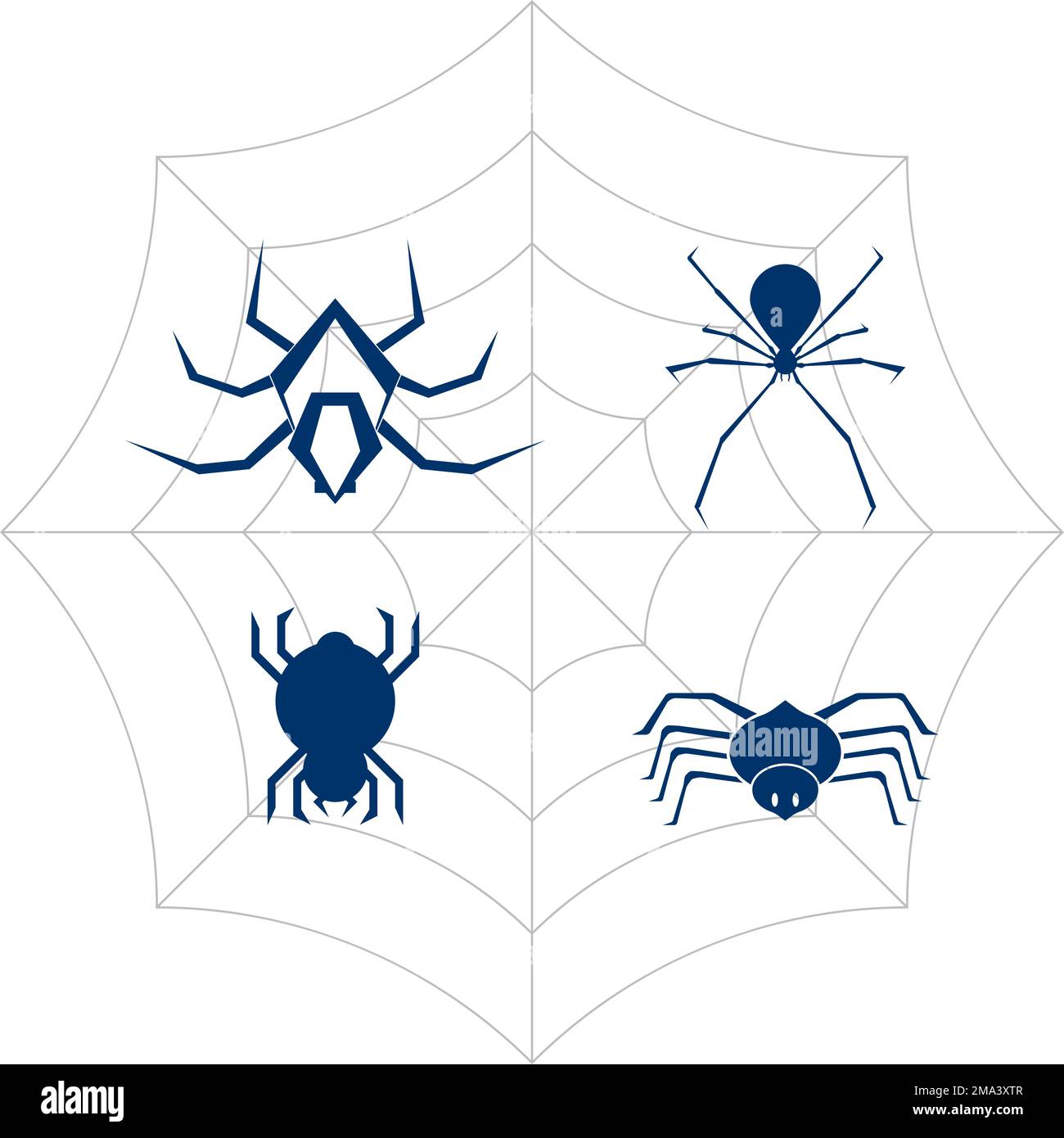 Spider icon.vector illustration symbol design Stock Vector Image & Art ...