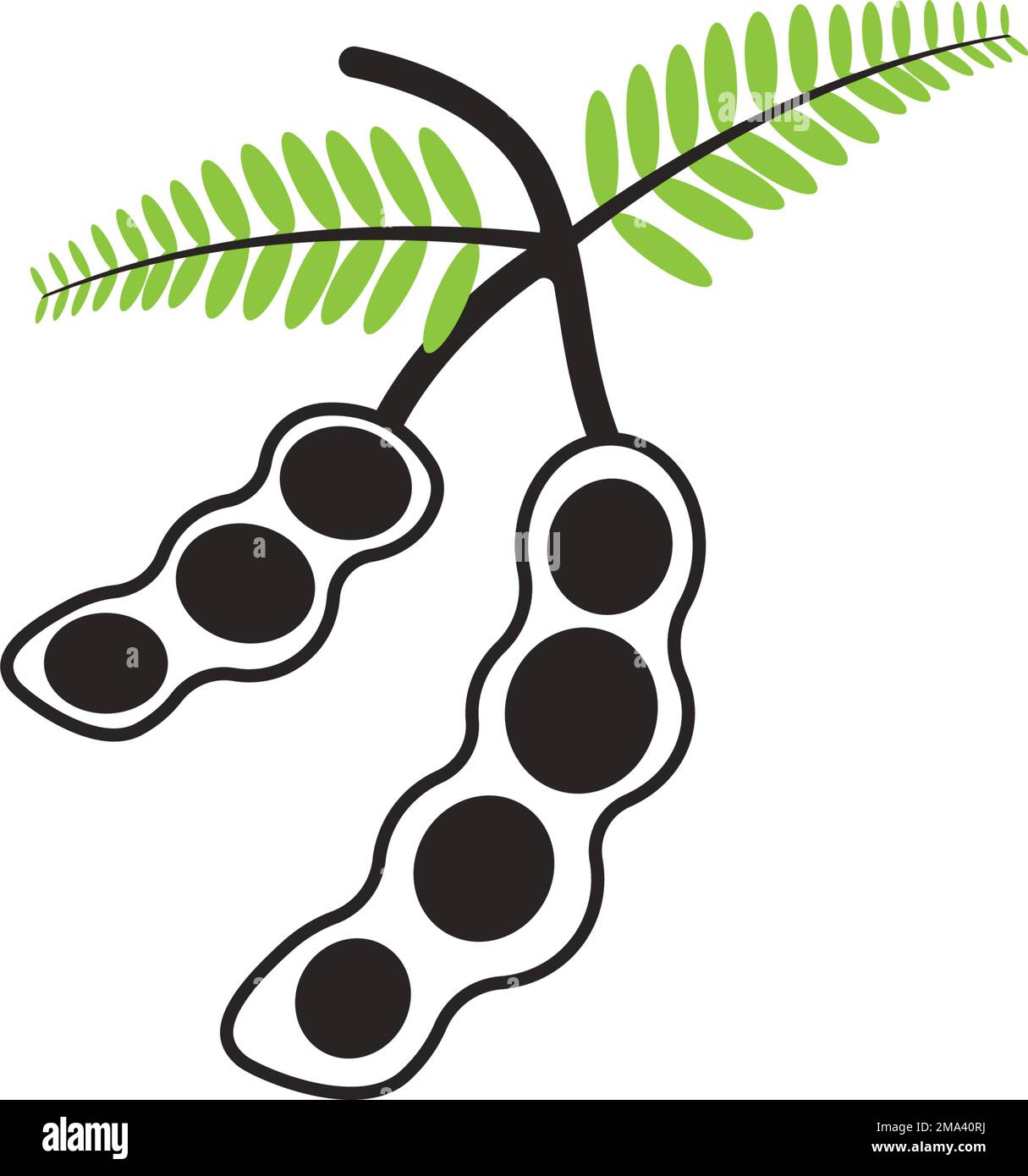tamarind icon vector illustration symbol design Stock Vector Image ... tamarind icon vector illustration symbol design Stock Vector Image ...
