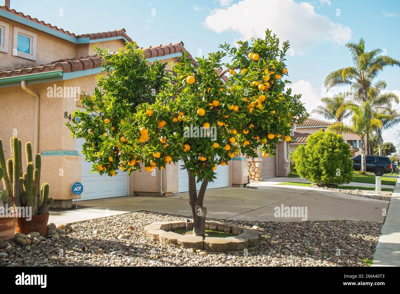 Santa Maria, California, USA - January 17, 2023. Beautiful houses with ...
