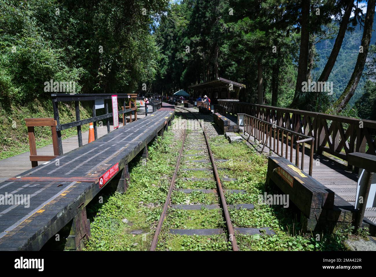 Alishan small train hi-res stock photography and images - Alamy