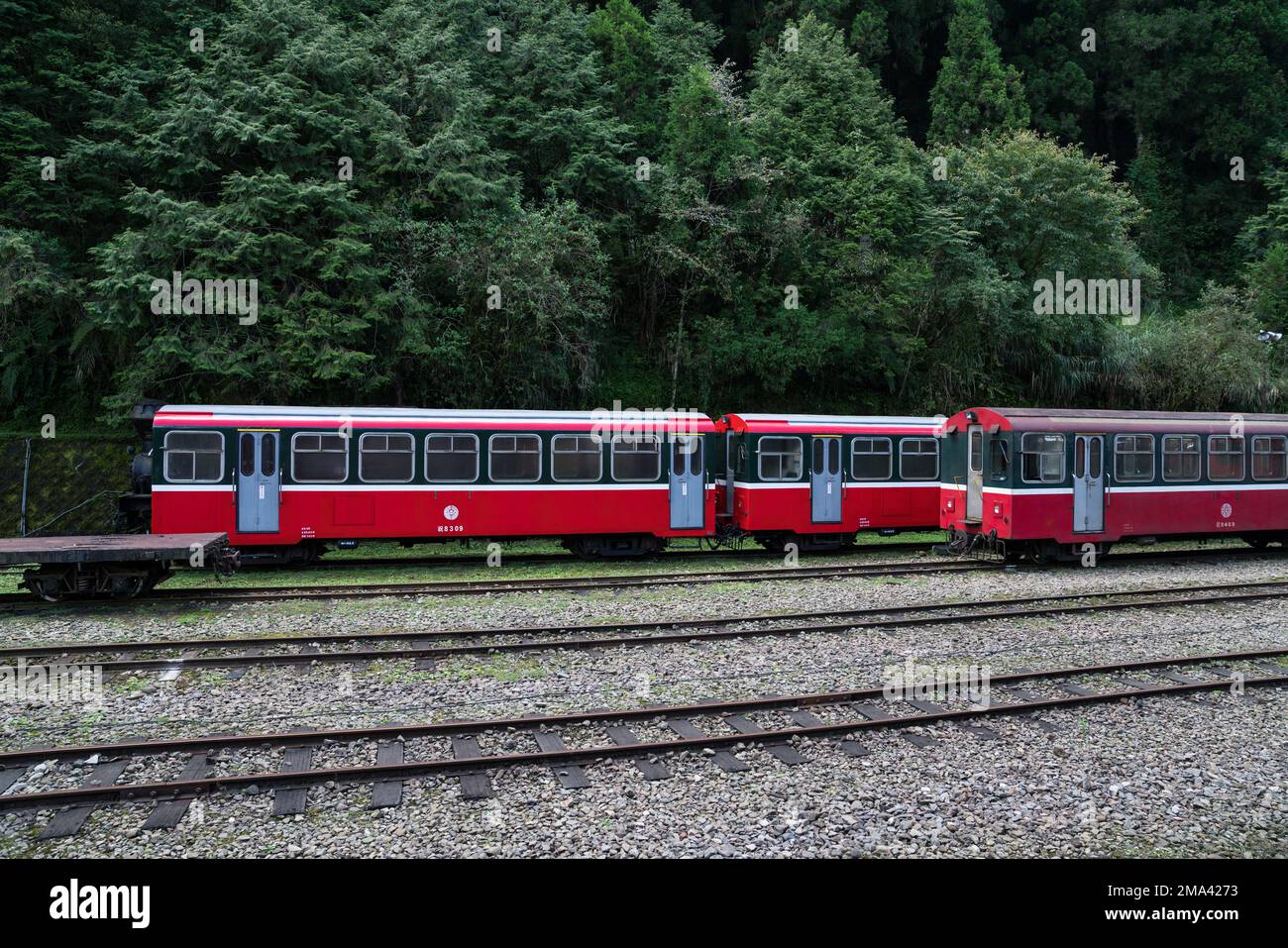 Taiwan alishan little train Stock Photo - Alamy
