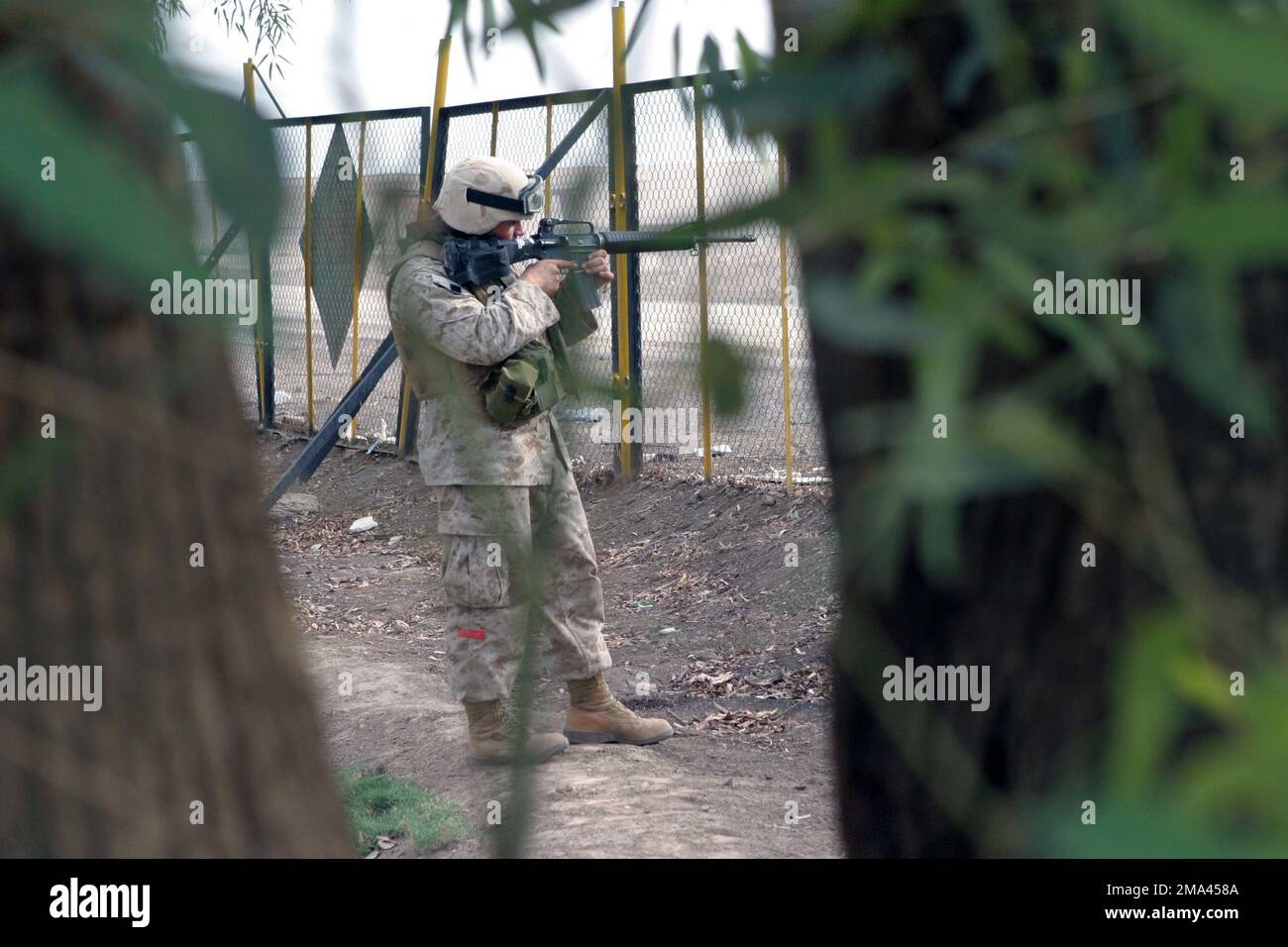 M 16 a 2 service rifle hi-res stock photography and images - Alamy