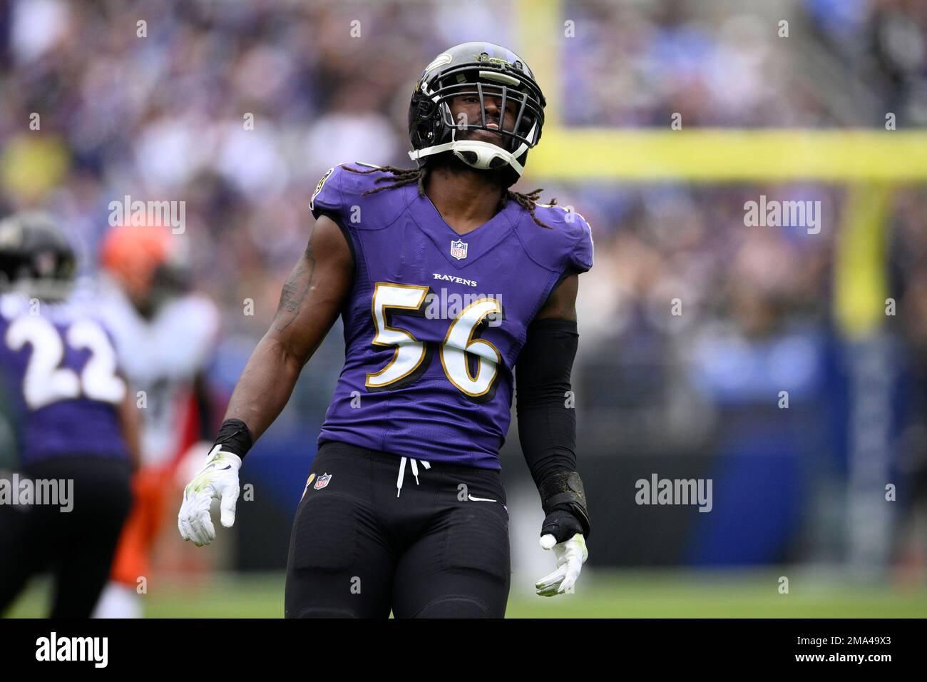 Baltimore Ravens linebacker Josh Bynes (56) in action during the first ...