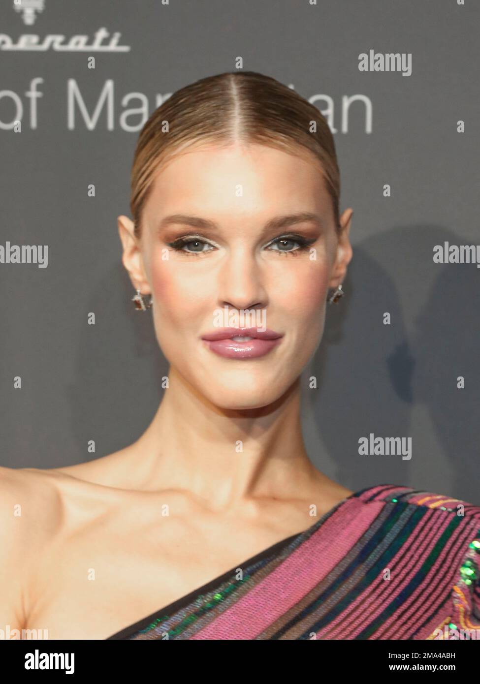 Model Joy Corrigan attends the Angel Ball benefiting Gabrielle's Angel ...