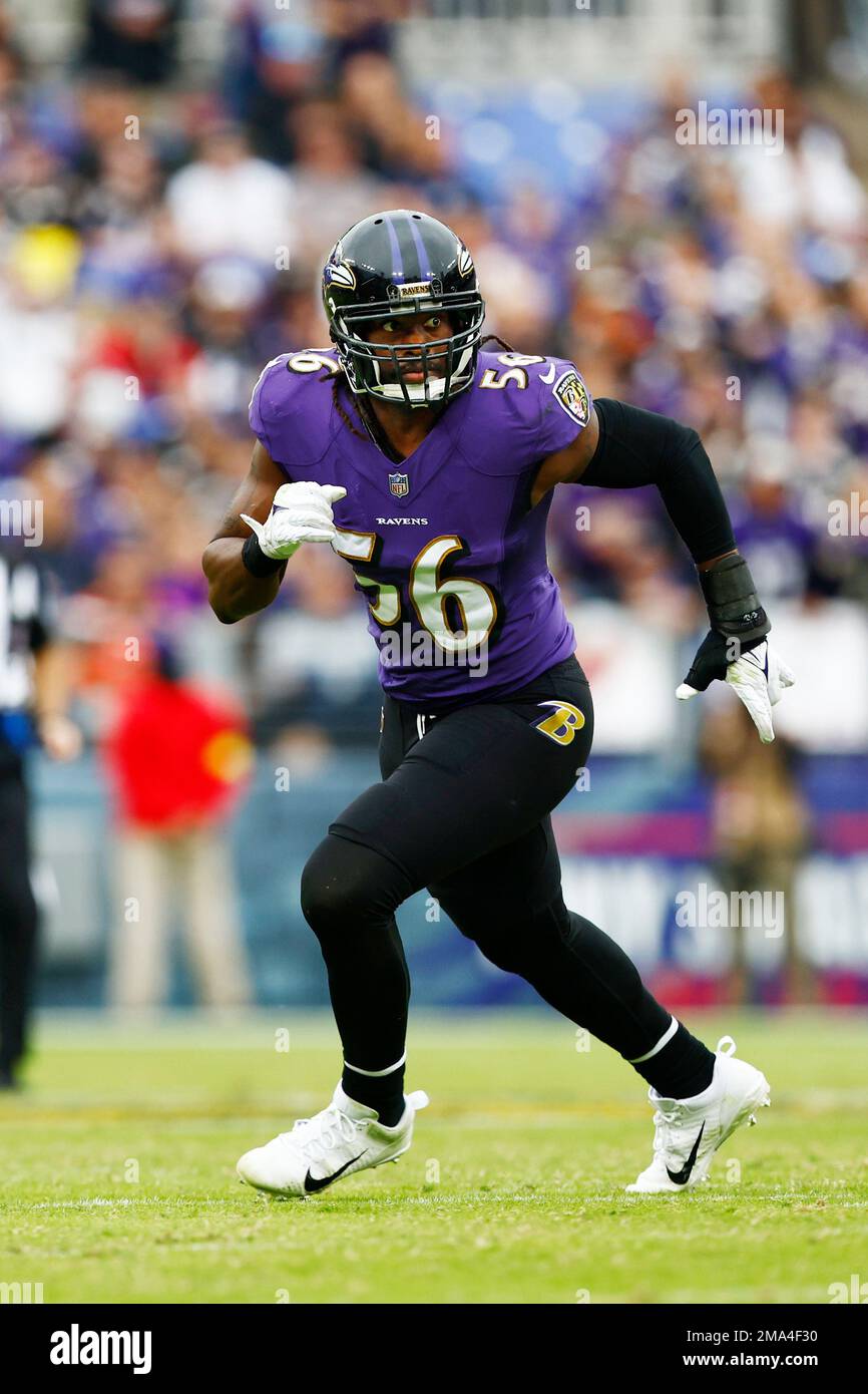 Baltimore Ravens linebacker Josh Bynes (56) in action against the ...