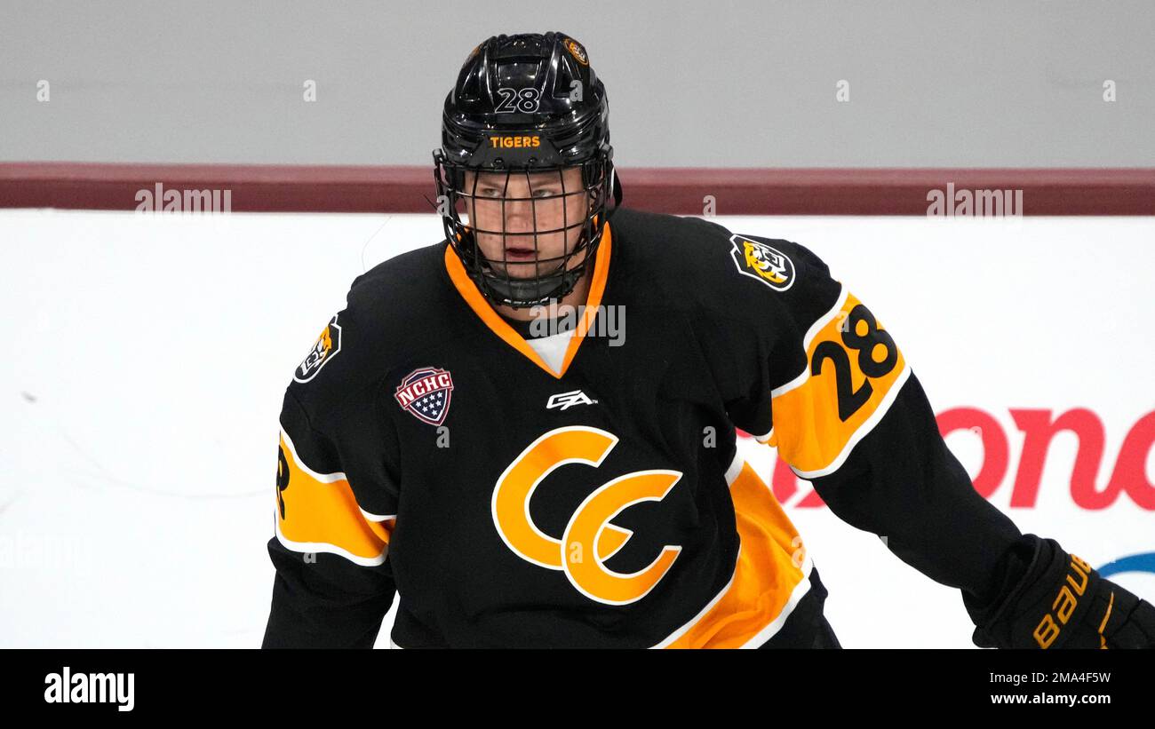 Colorado College forward Gleb Veremyev (28) during an NCAA hockey game ...