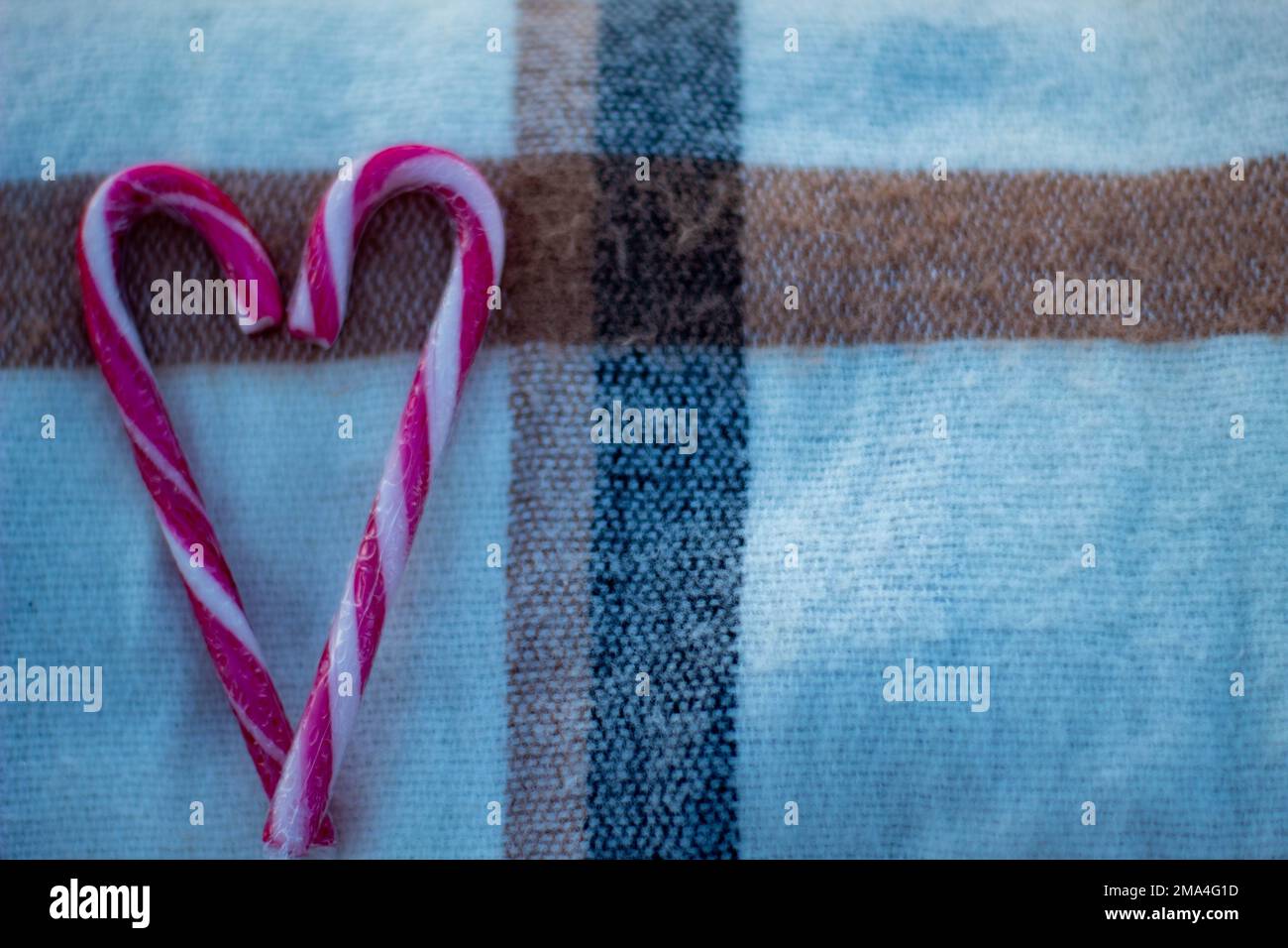 Heart of Christmas candy canes left on a warm blanket under a Christmas ...