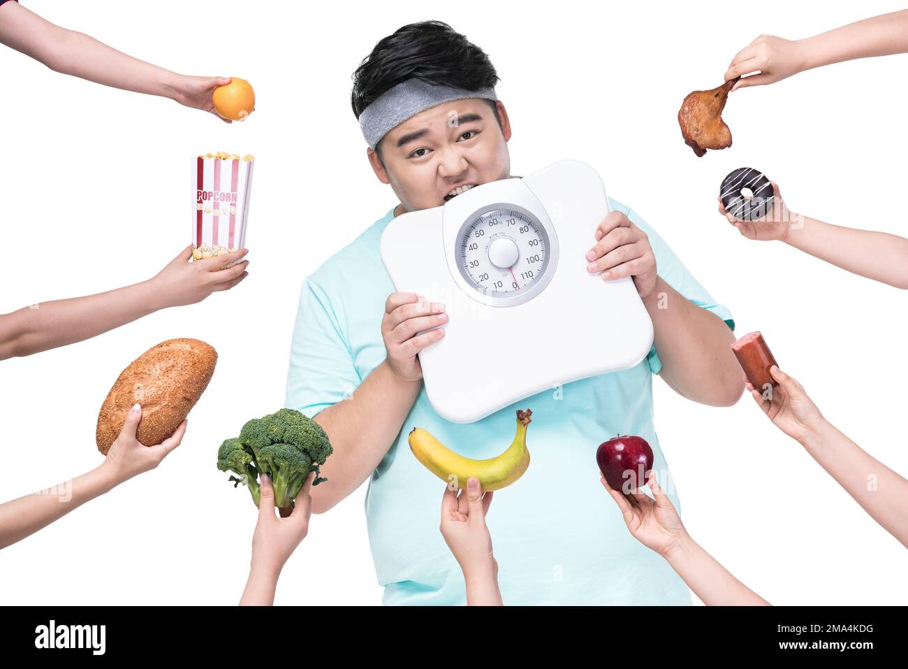 Fat synthesis hi-res stock photography and images - Alamy