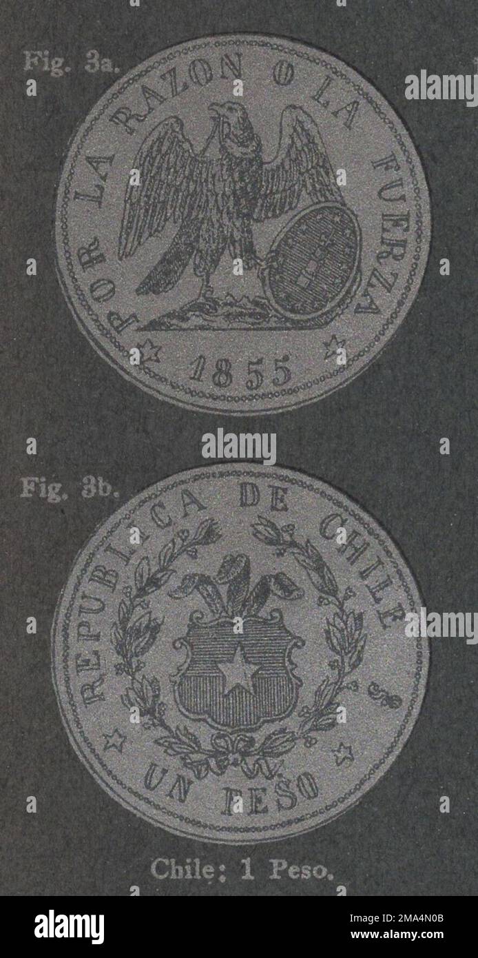 Antique 19th century germany numismatic illustrated coin catalogue with ...