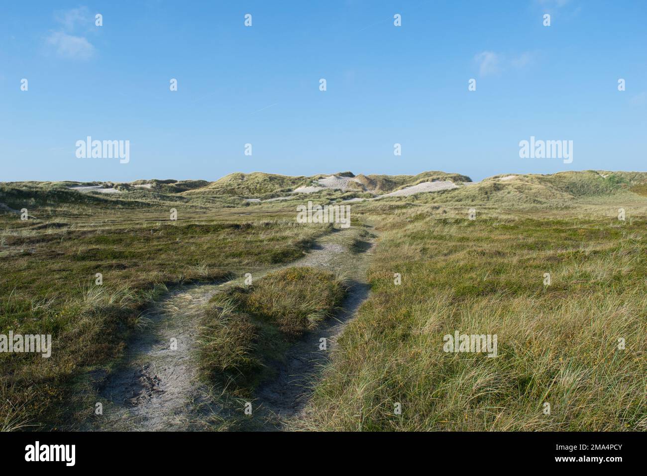 A patchy grass terrain with small hills in the background against the ...