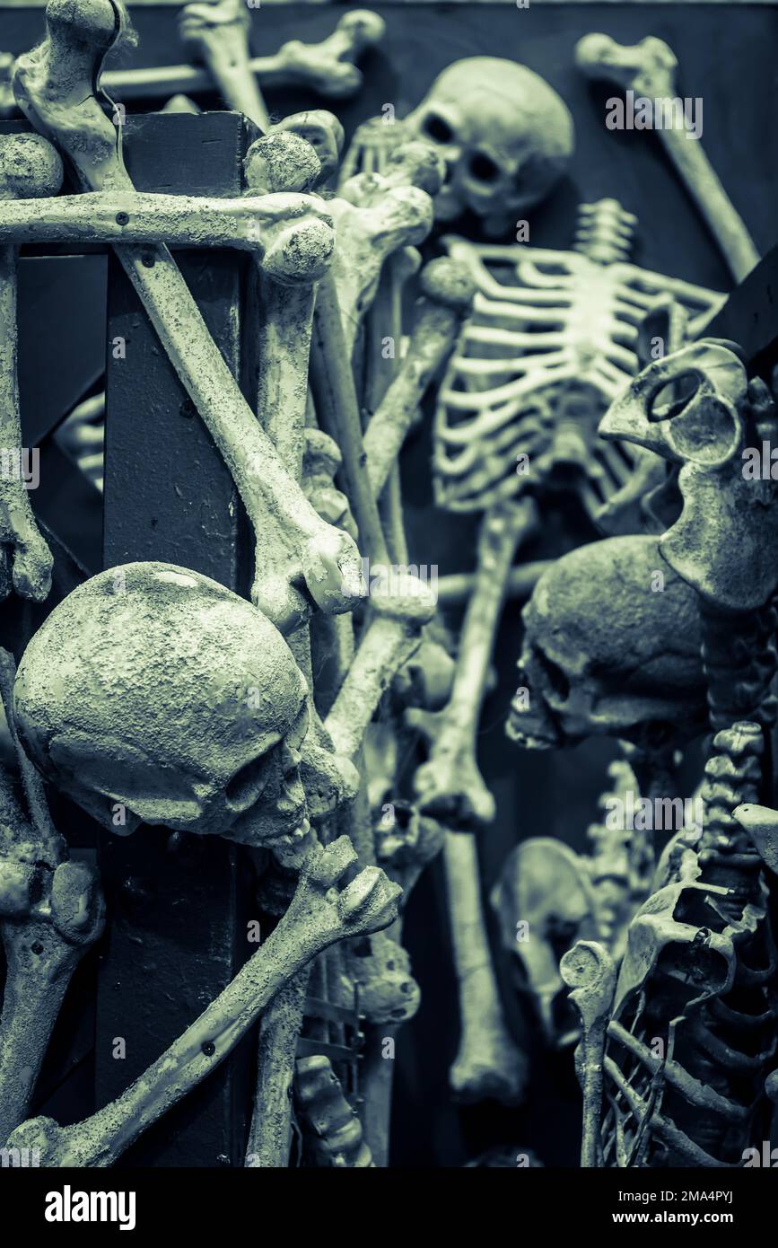 Skeleton film props, Sydney, NSW, Australia Stock Photo - Alamy