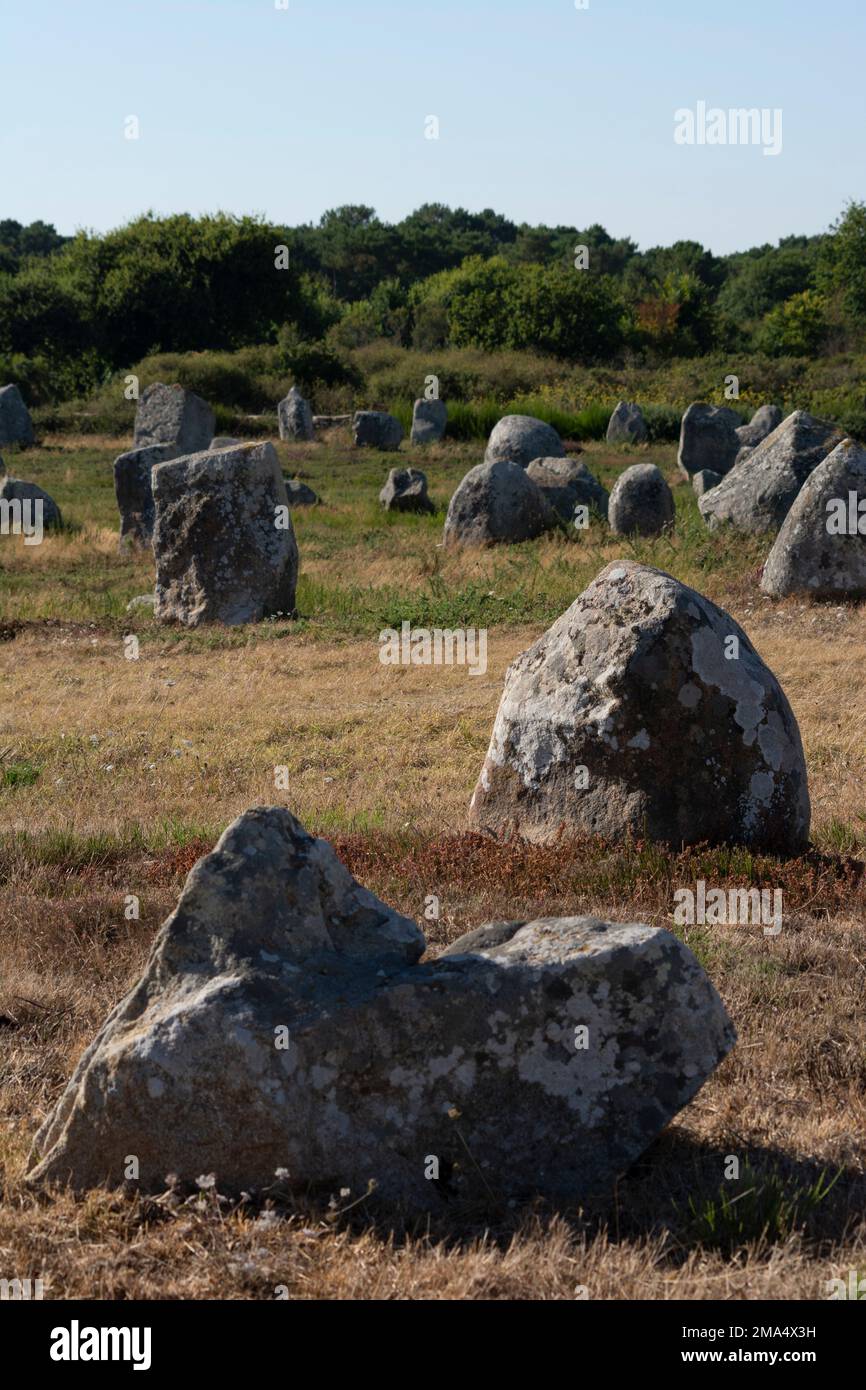 Carnac stones (megalithic sites). Le Ménec alignments. Commune of ...
