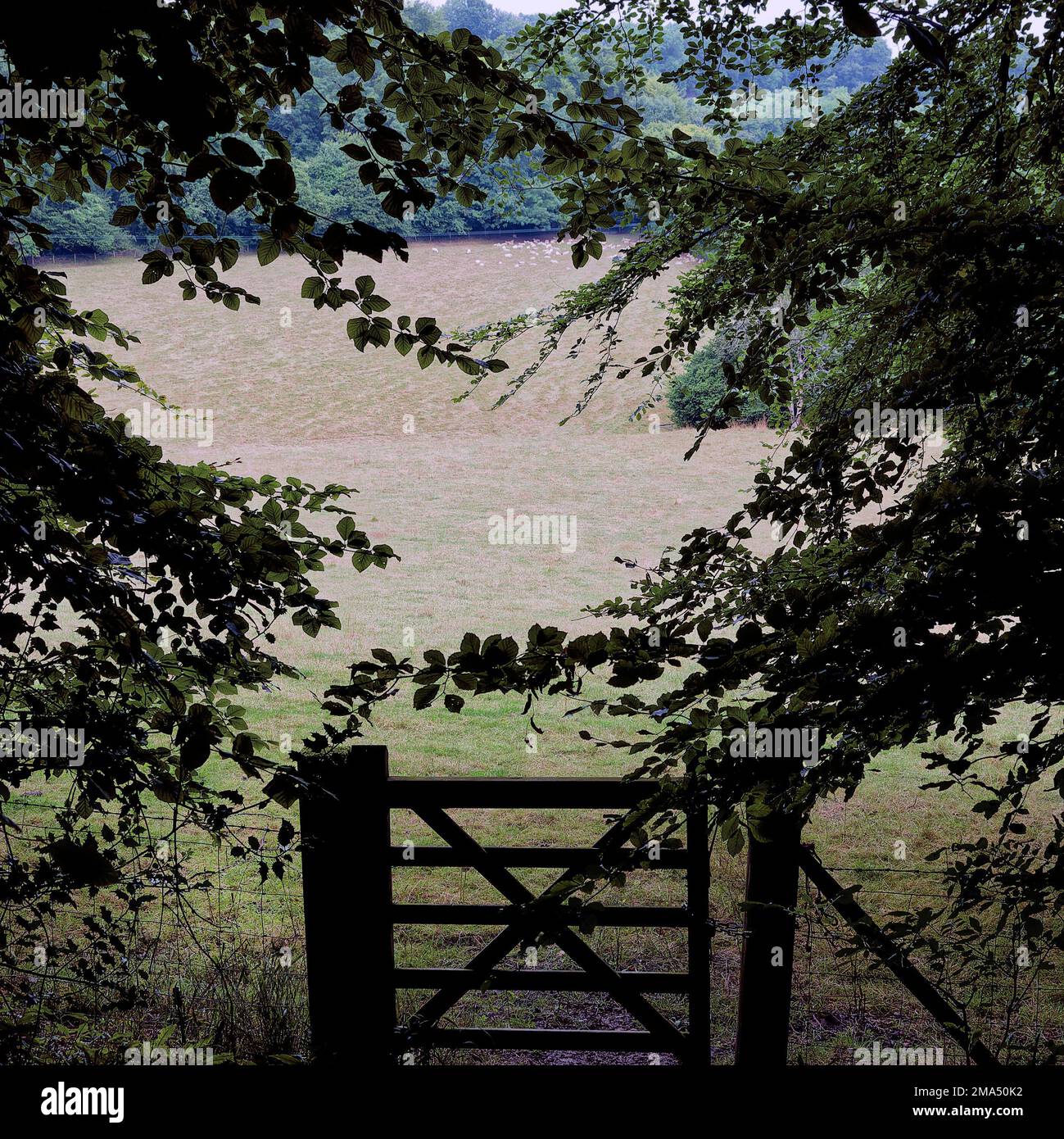 Hawkley hangers hi-res stock photography and images - Alamy