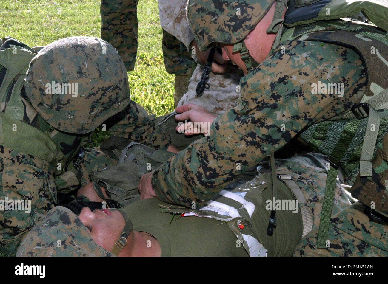 01 releasing authority hi-res stock photography and images - Alamy