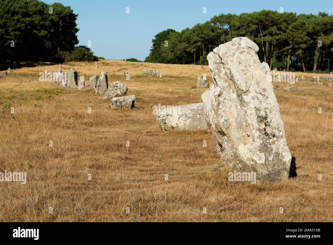 Carnac stones (megalithic sites). Kermario alignments. Commune of ...
