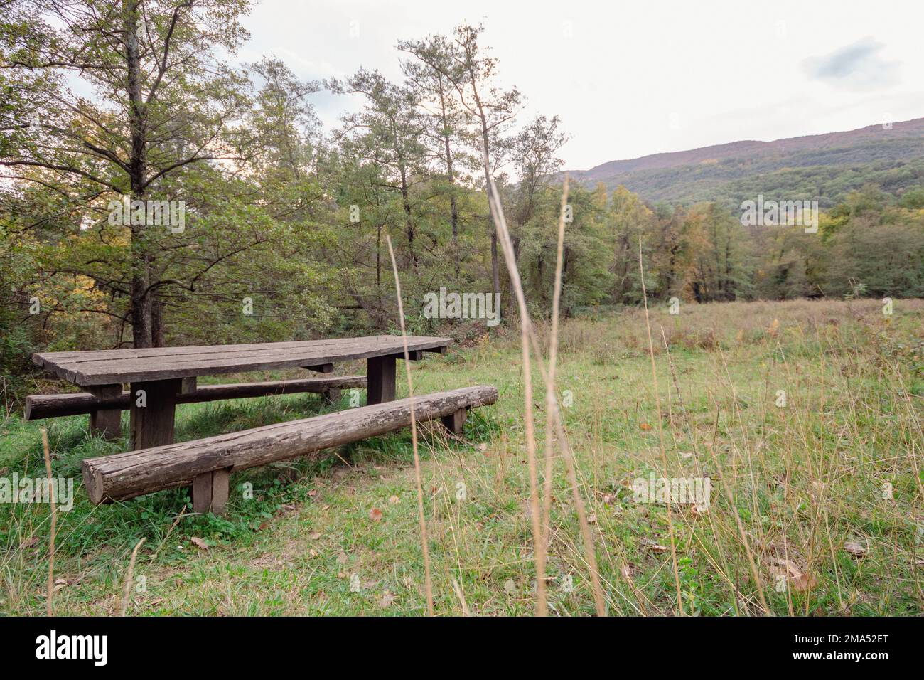 Wooden picnic table to eat in the middle of nature with incredible ...