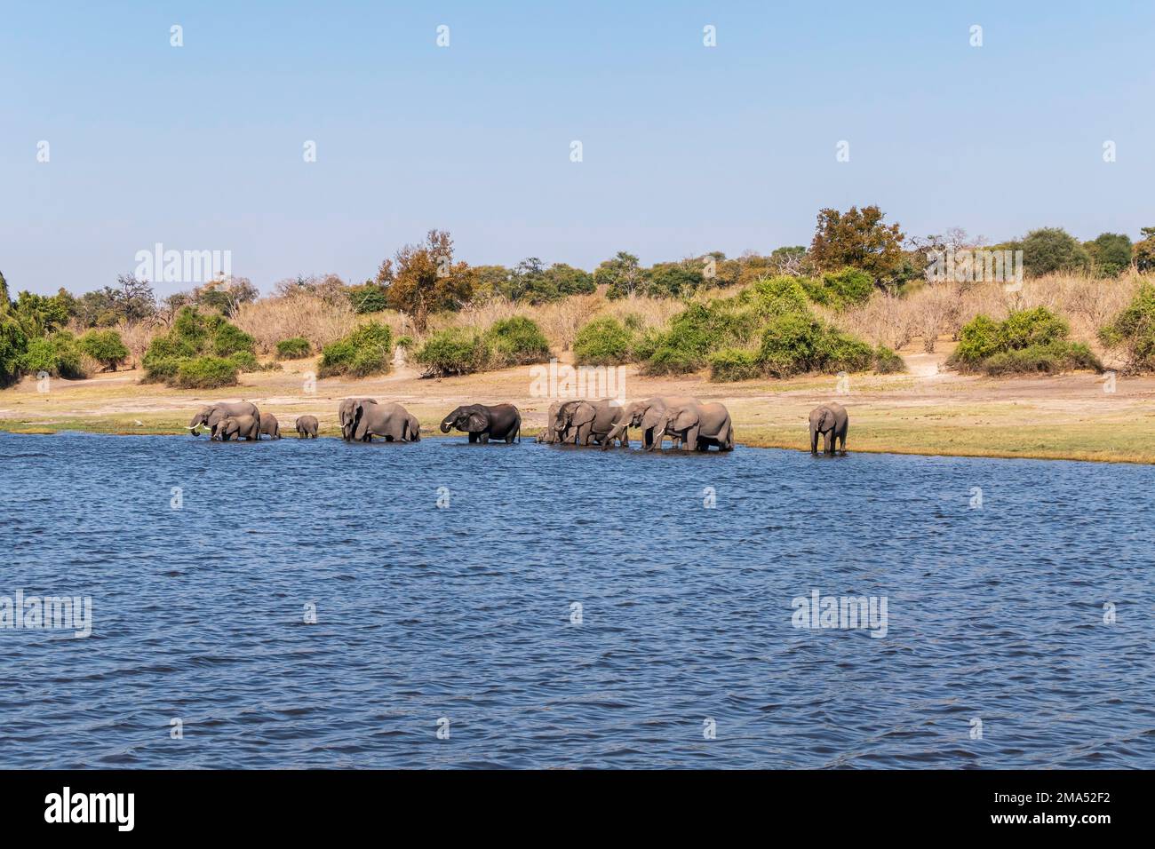 Www Africa Water Scenes