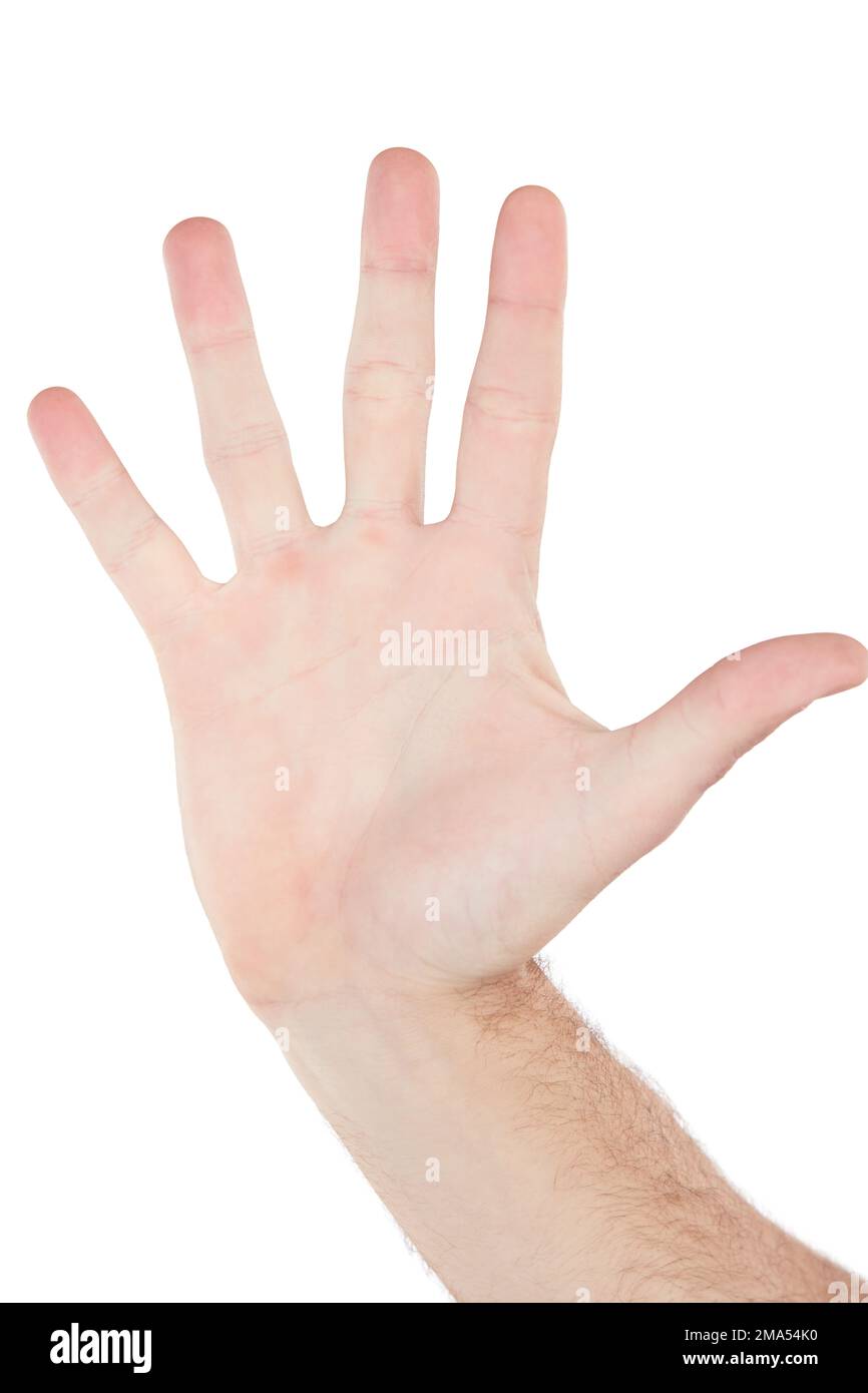 Closeup hand, palm and high five by white background with sign language ...