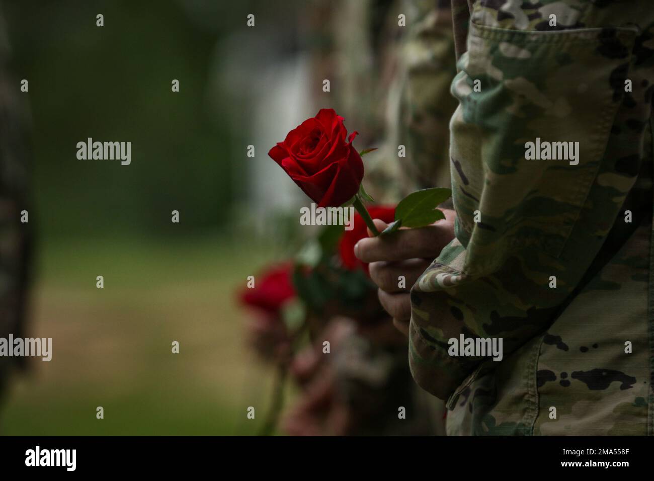 3rd sfg hi-res stock photography and images - Alamy