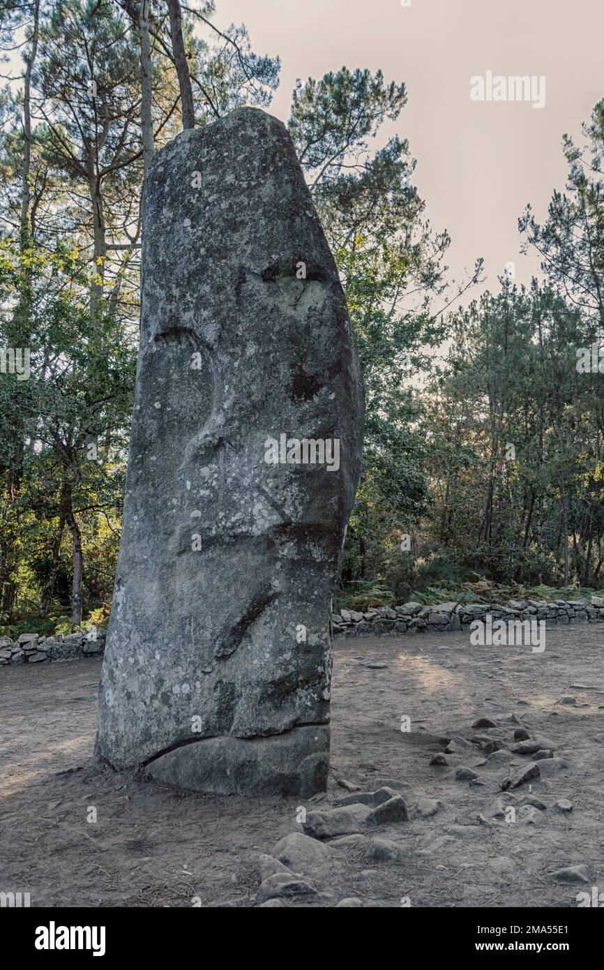 The Manio Giant (Menhir) with 6,5 m. tall. Carnac stones (megalithic ...