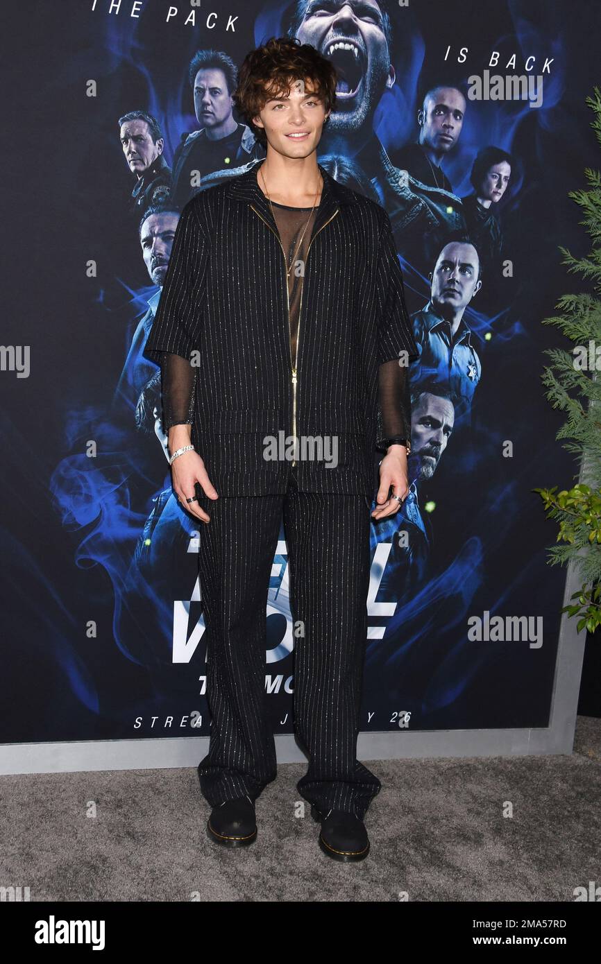 Hollywood, USA. 18th Jan, 2023. Tyler Lawrence Gray arriving to ...