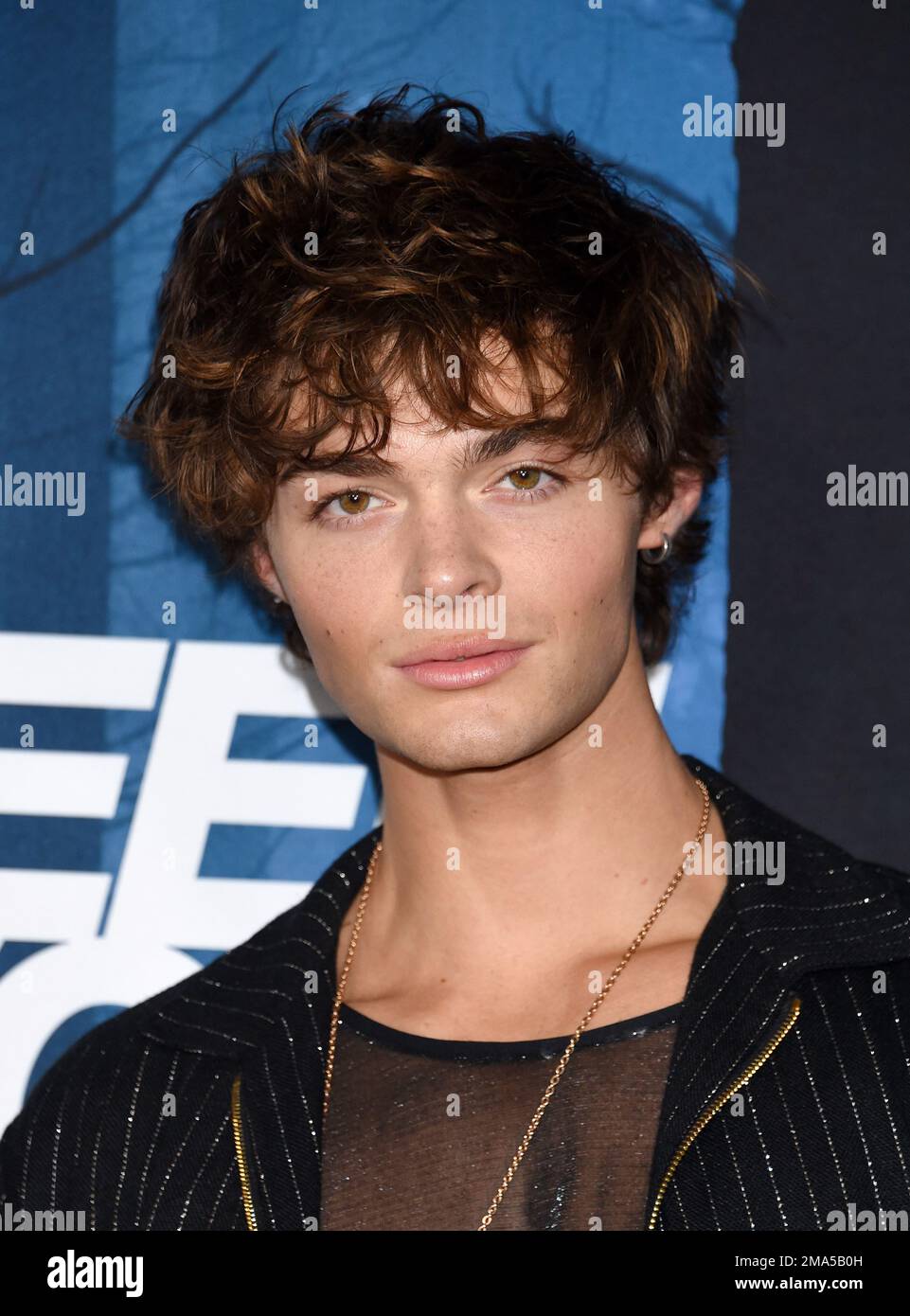 Hollywood, USA. 18th Jan, 2023. Tyler Lawrence Gray arriving to ...